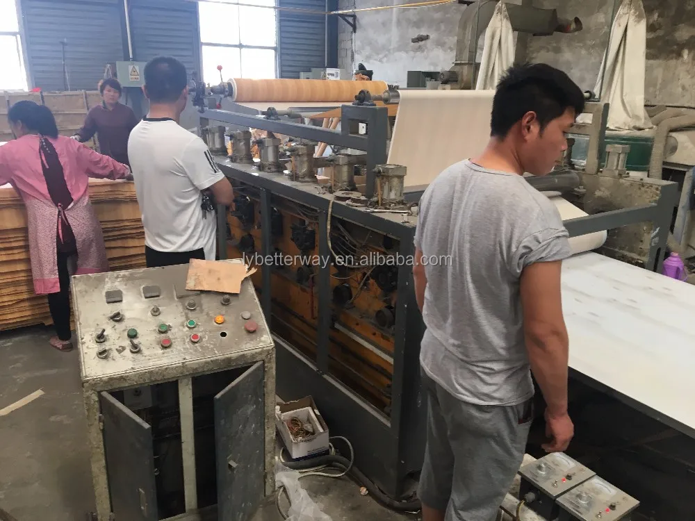 Glossy Poly Coated Plywood - Durable & Stylish Solutions