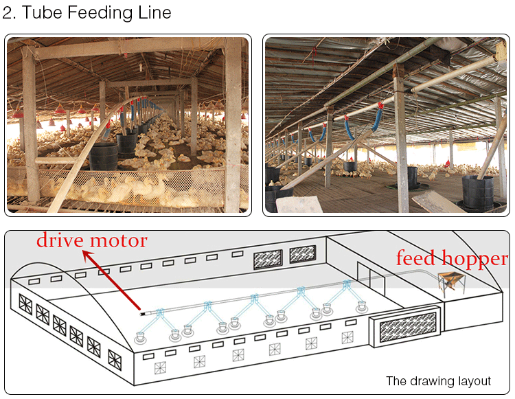 China Poultry Farm Duck Goose Feeding Line Manufacturers and Suppliers ...