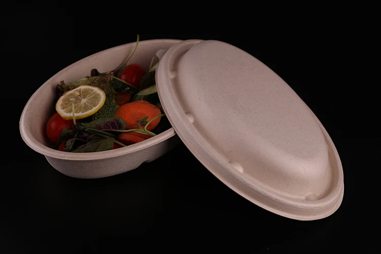 Restaurant Biodegradable To Go Containers Disposable Salad Containers ...