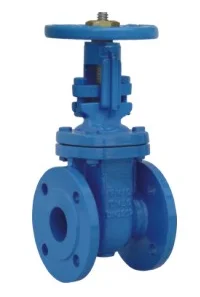 BS5150 PN16 Flange Gate Valve Cast Iron Body OS & Y Design