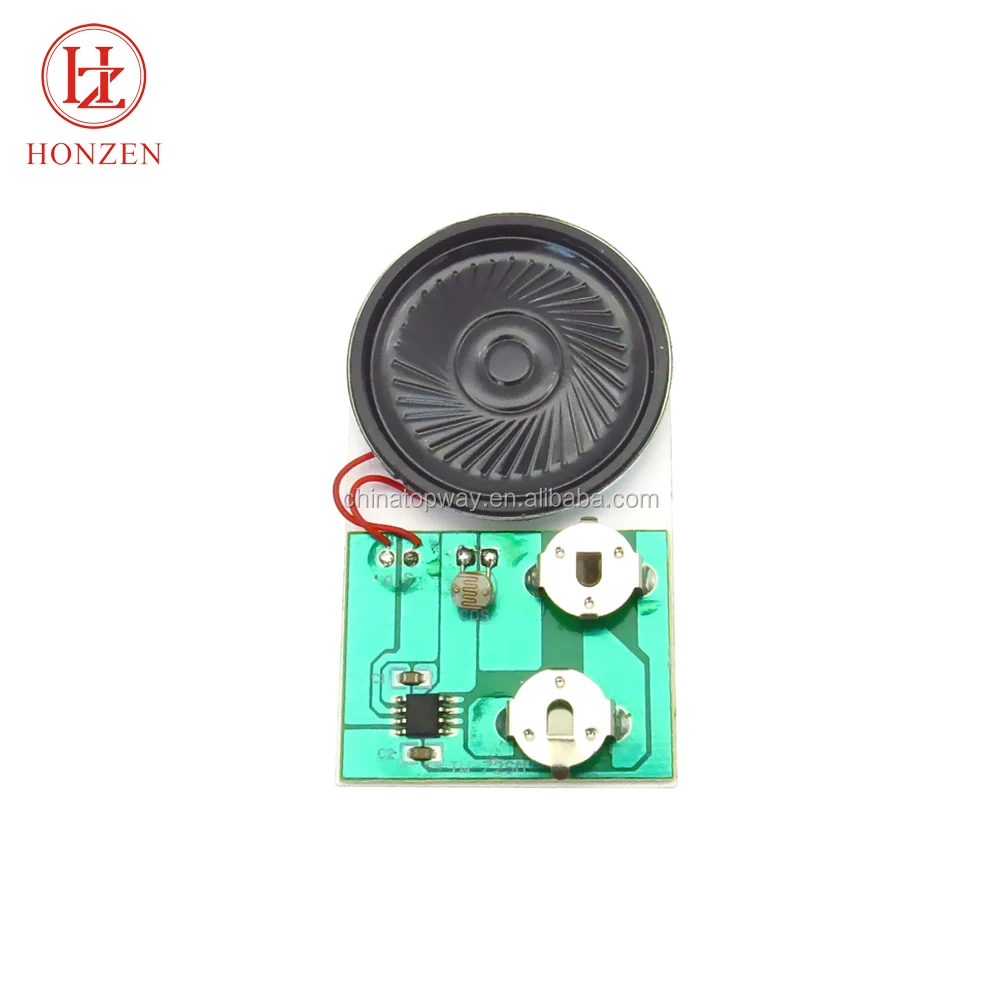 Programmable Ic Voice Chip Small Battery Power Motion Sensor Recordable ...