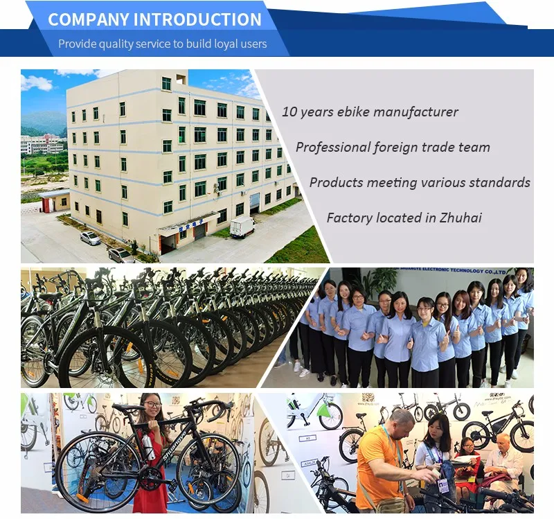 Factory Direct 36v Foldable Ebike 250w Electric Folding Bike Cheap E ...