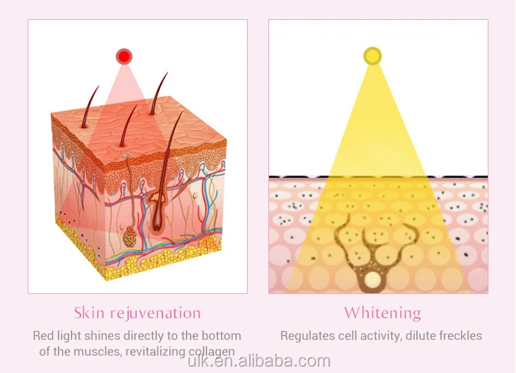 Rechargeable 7 In 1 Ultra Renew Plus Skin Expert Skin Rejuvenation ...