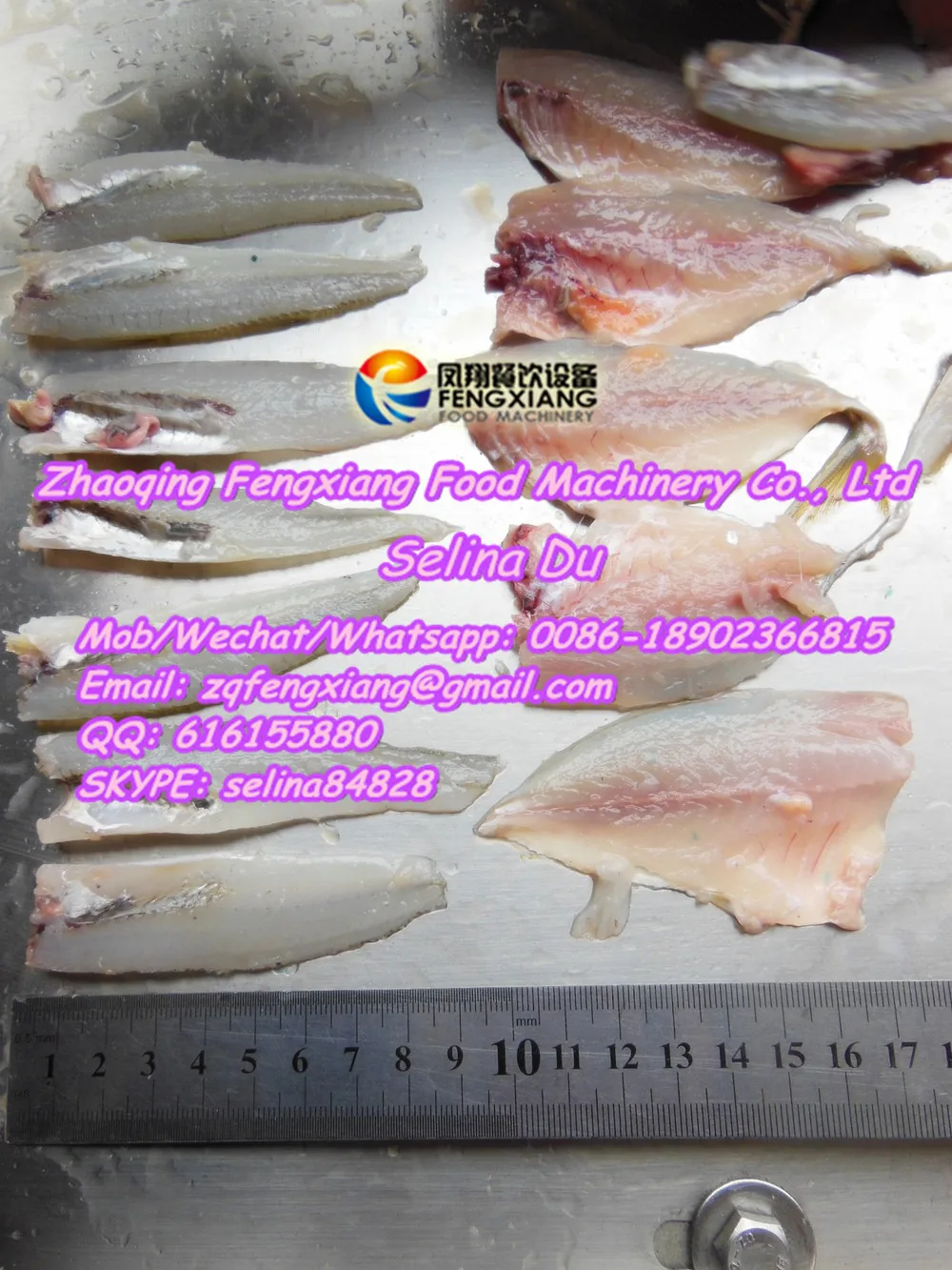 F-gb-168 Automatic Sardine Fillet Machine,Sardine Butterfly Cuttin ...