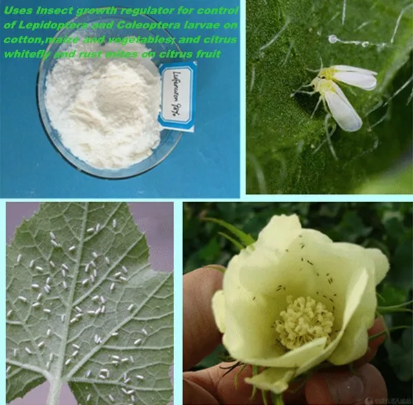 97%tc Pesticide Lufenuron,Rust Mite Killer,Insect Pheromone,Miticide ...