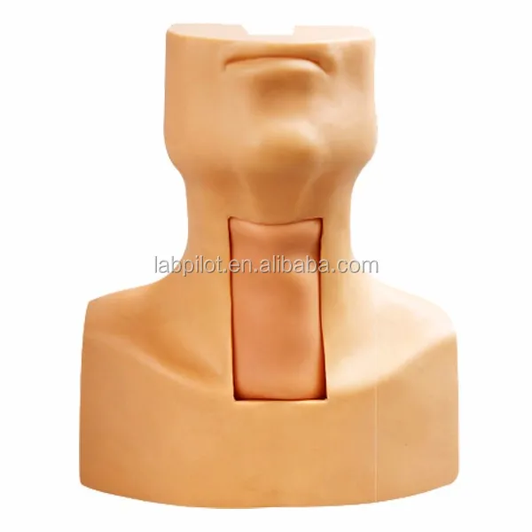 Tracheostomy Simulator - Adult Manikin for Medical Training