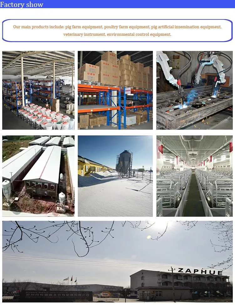 Swine Ai Kit / Insemination Catheter / Swine Ai Equipment For Sale ...