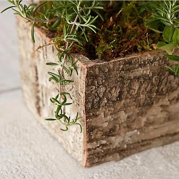 Customized Birch Bark Flower Trough Planter - Eco-friendly