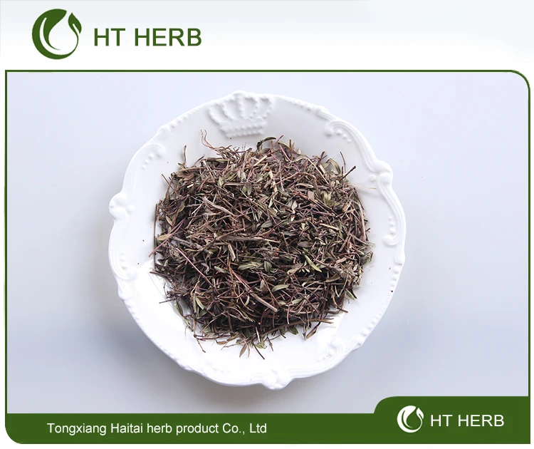 Wholesale Thyme Powder Traditional Medicinal Herbs Dried Thyme - Buy ...