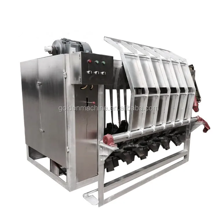 Hog Slaughterhouse Line - Efficient Dehairing Solutions