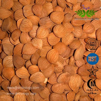 Bitter Apricot Kernel Prunus Armeniaca Extract Powder Raw Materials ...