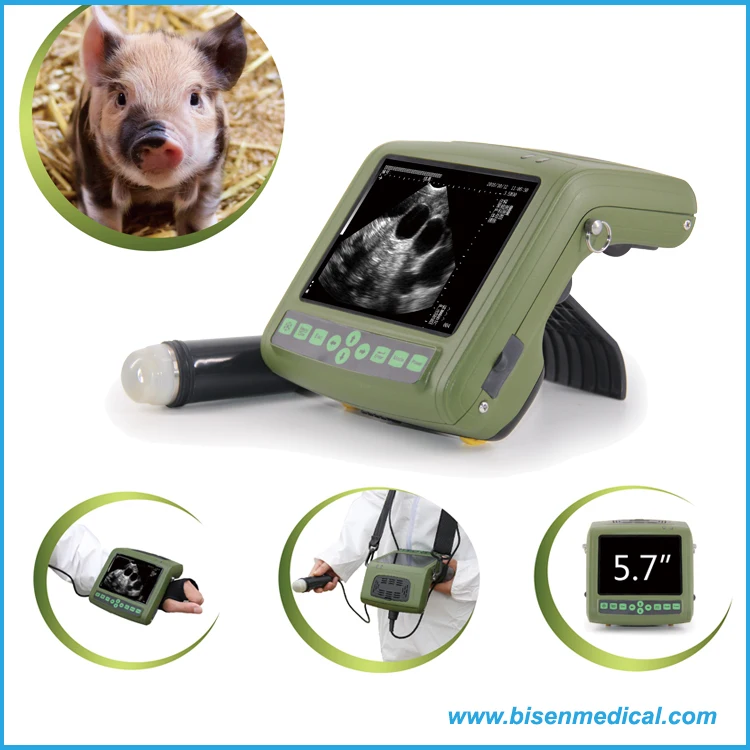Bs-msu1+ Black White Pig Ultrasound Full Digital Mechanical Sector ...