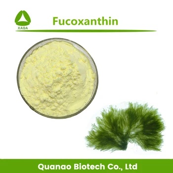 Algae Extract / Sesweed Extract Fucoxanthin Powder In 1% - Buy ...