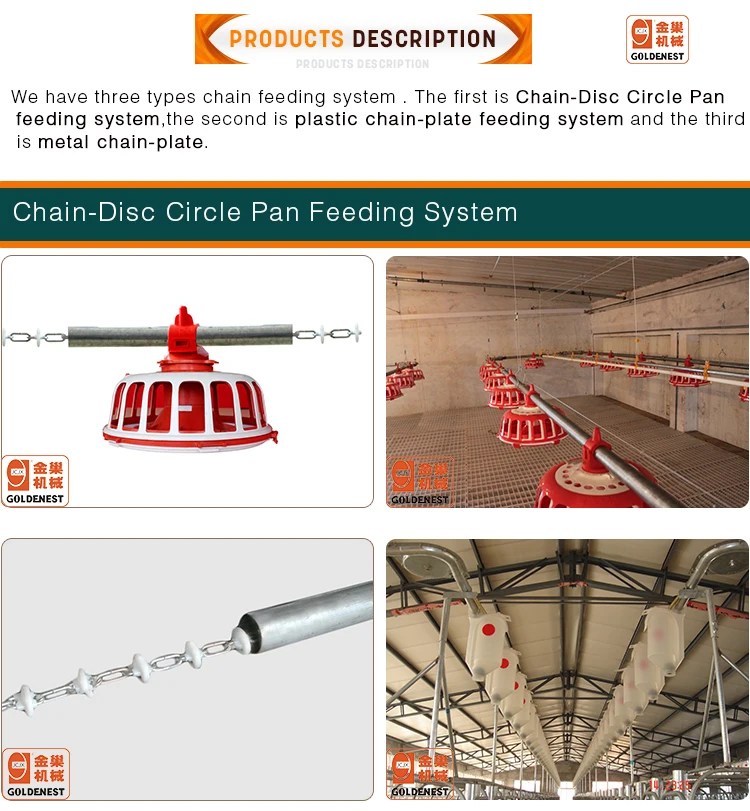 China Breeder Automatic Chain Feeding System Manufacturers and ...