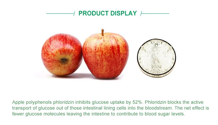 Water Soluble Apple Polyphenol Extract Powder , Green Apple Peel ...