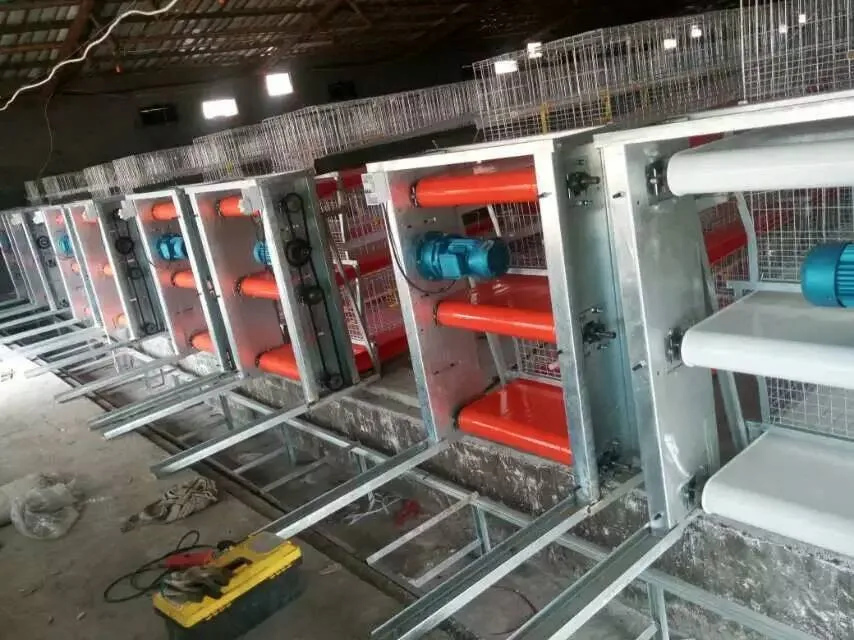 Automatic Manure Cleaning System Chicken Farm Cleaning Equipment ...