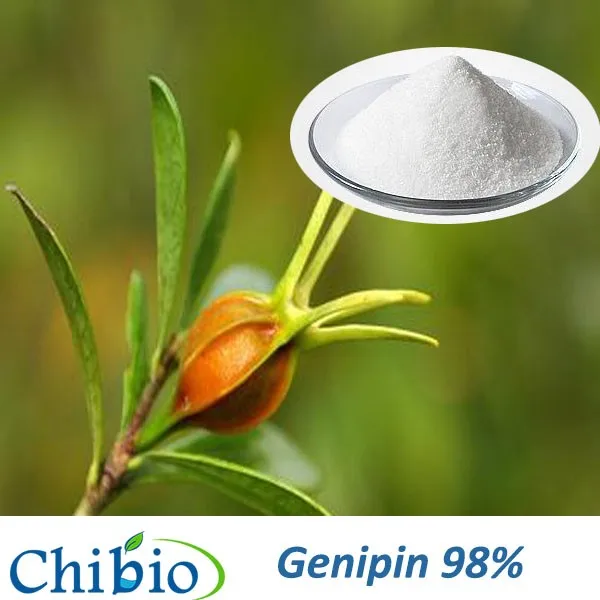 1%-98% Genipin,Gardenia Extract,Geniposide Cas No. 6902-77-8 - Buy ...