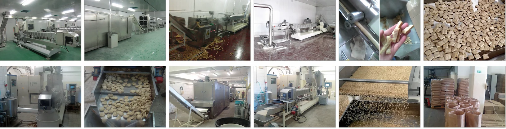 Extrusion of Plant Based Meats - High Moisture Meat Analogue Extruder