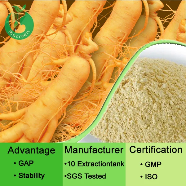 High Quality Ginseng Extract Ginsenoside Rg3 - Buy Ginsenoside Rg3 ...