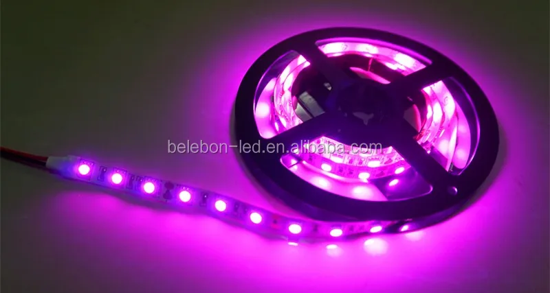 DC12V Pink/Magenta LED Strip 5050, 5050 Magenta LED Strip, Magenta ...