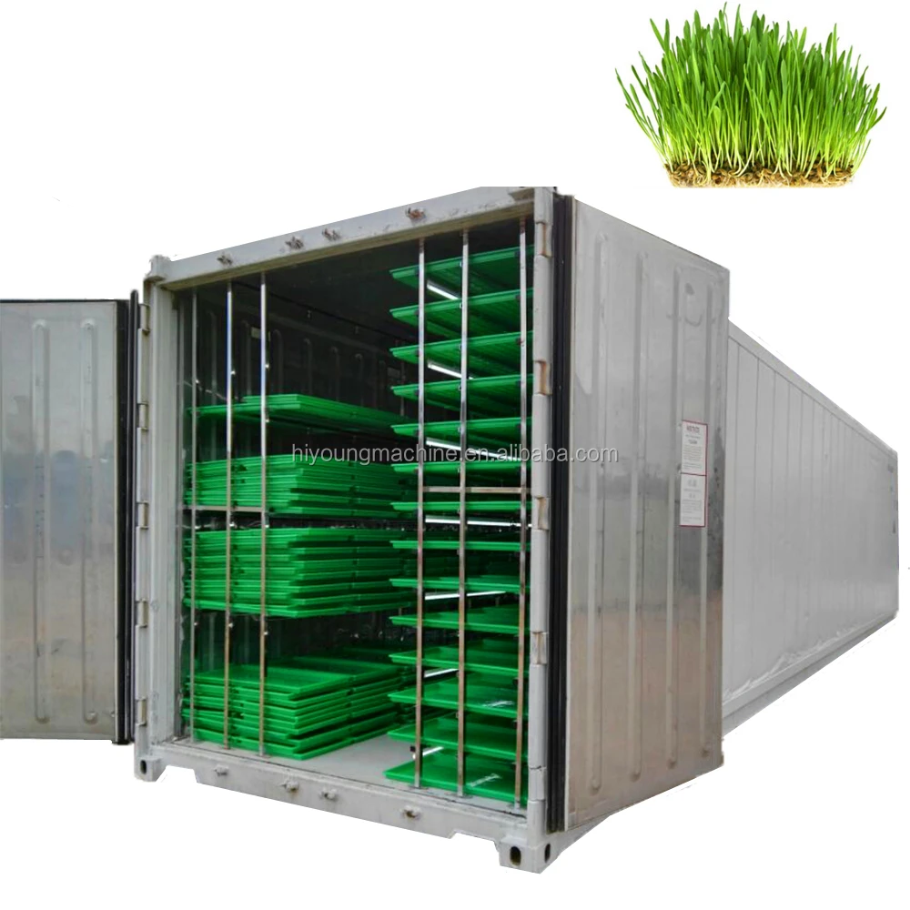 Container Type Automatic Barley Green Grass Hydroponic Fodder Solutions ...