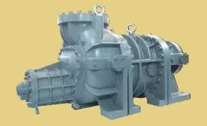 Cng Compressor Natural Gas/ Coal Bed Methane/biogas Gas Screw ...