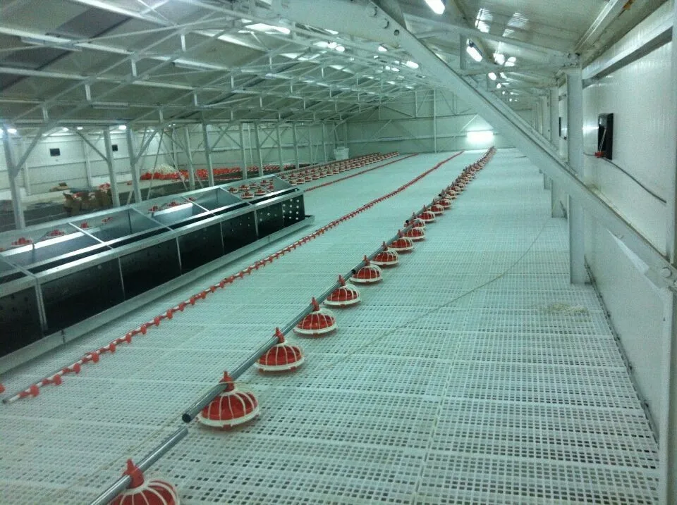 Goldenest Hot Sale Poultry Equipment Plastic Slats for Poultry Slat ...