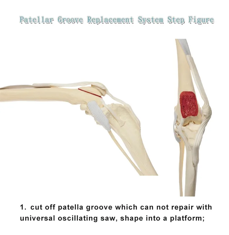 Patellar Groove Replacement System Reference Pictures Pet Orthopedic ...