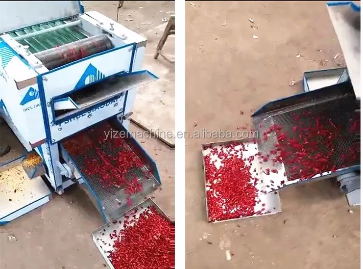 Red Chilli Stem Cutting Removing Machine Chilli Slice Cutter Machinery ...