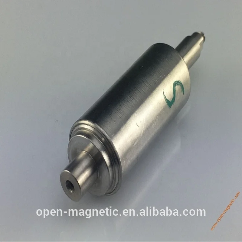 Neodymium Magnet Rotor Stainless Steel 316l Rotor 2000rmp - Buy ...