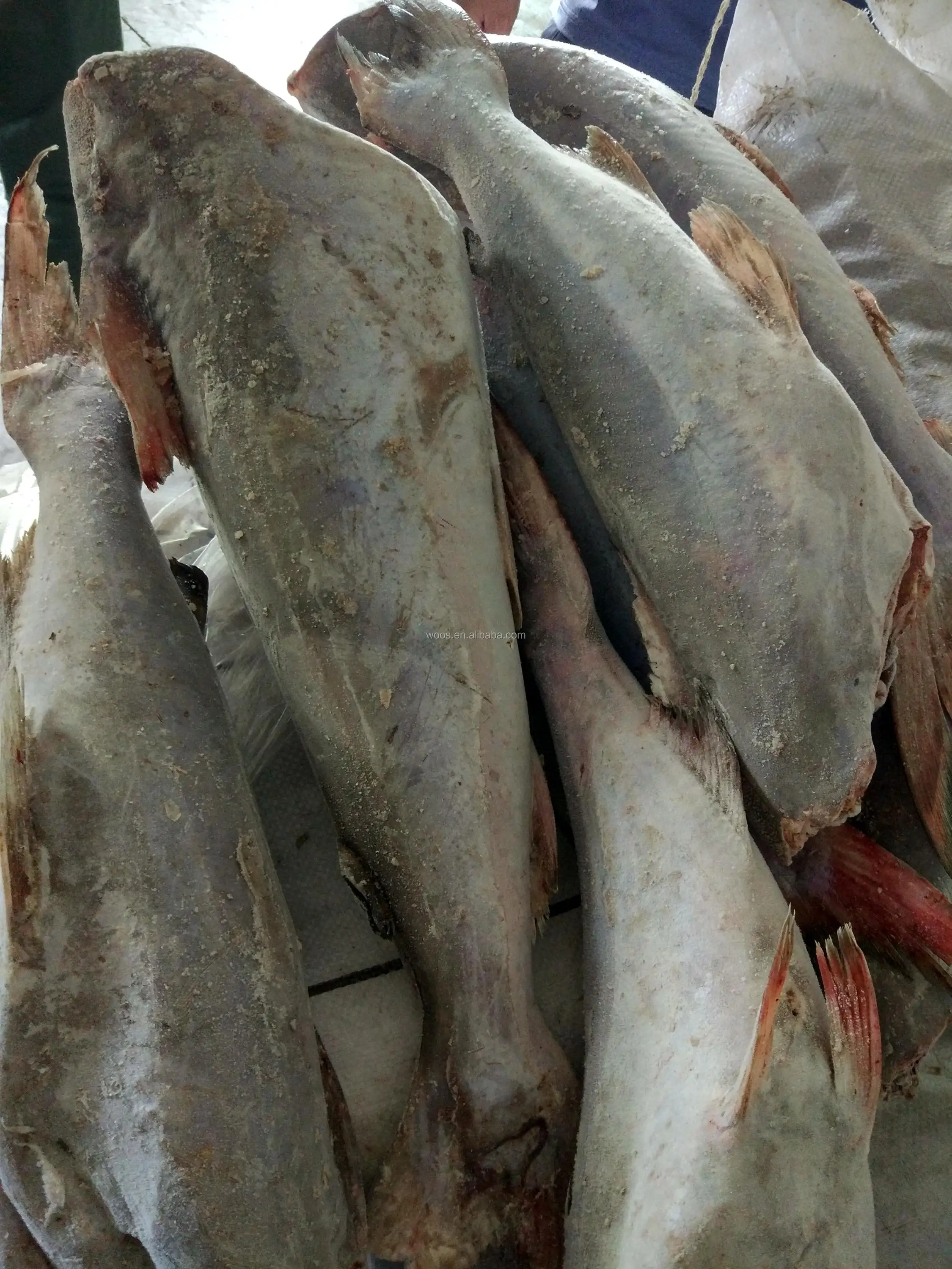 Frozen Catfish Headless Gutted Popular In Sri Lanka - Buy Catfish ...