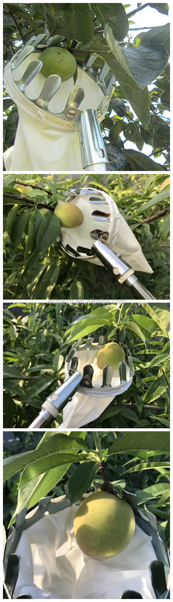 Made In China Manual Mango Picking Machine Mini Olive Hearvesting ...