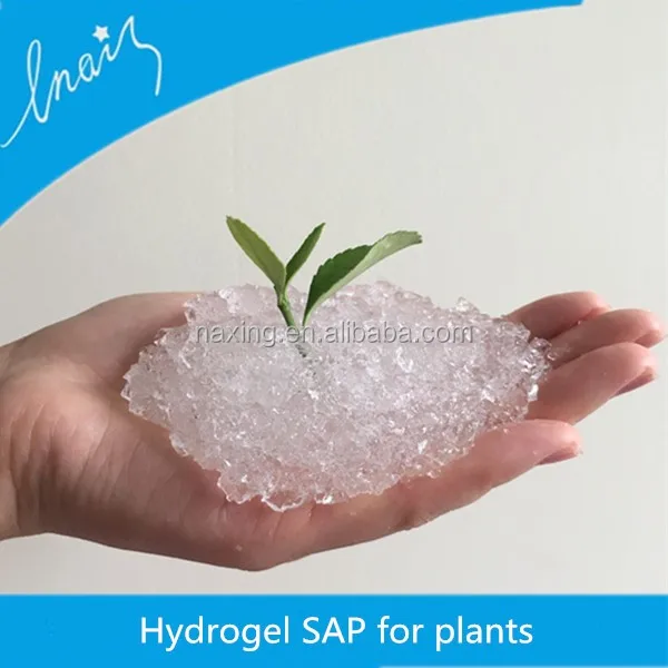Hydrogel Sap Super Absorbent Polymer For Plants - Buy Hydrogel Sap ...