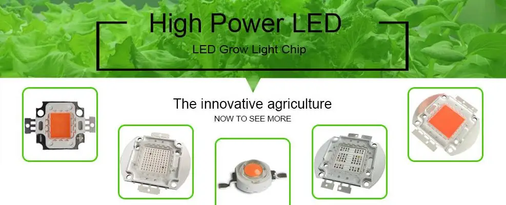 Shenzhen Sungrow LED Technology Co., Ltd. - LED Therapy Light,LED Grow ...