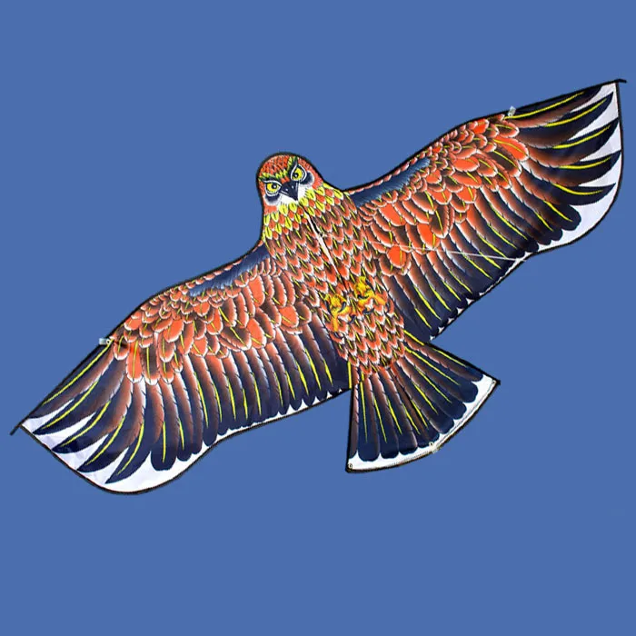 Eagle Kite - Best Selling Bird Kite from the Kite Factory