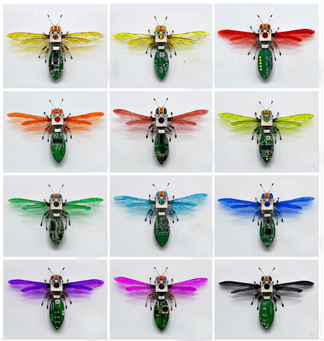 Physical Science Experiment DIY Material Electric Insect Robot Toy