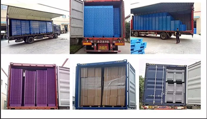 HDPE Plastic Chicken Transport Crate - Poultry Carrying Boxes