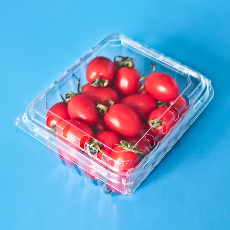 250g Cherry Tomatoes in PET Clamshell - Great for Fruit
