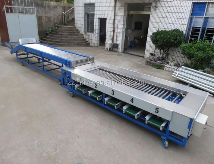 Stainless Steel Fish Seafood/kumquat Weight Sorting Machine Date ...