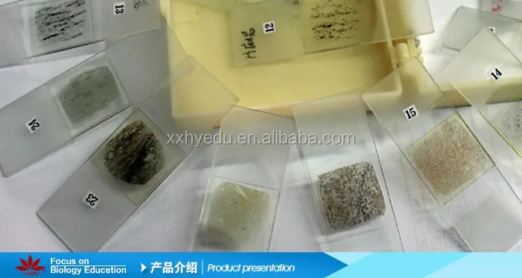 Fixed Items Geology Slide Study Rock Thin Section Microscope Slides ...