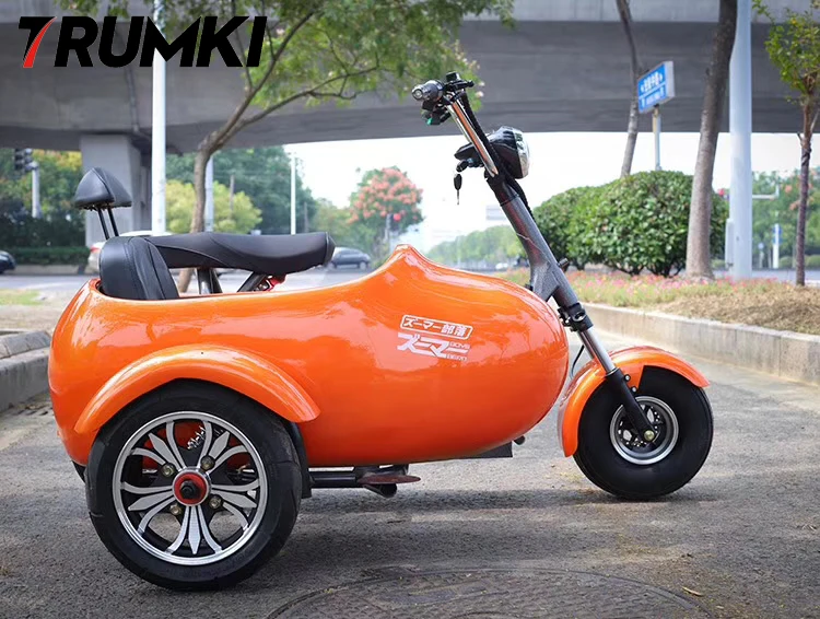 Hot Sale New Arrival Mini Electric Bike Sidecar With Sidecar - Buy ...