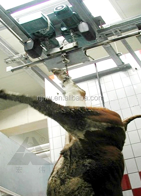 Chinese Manufacturer Best Price Cattle Carcass Hoist Electric For Small ...