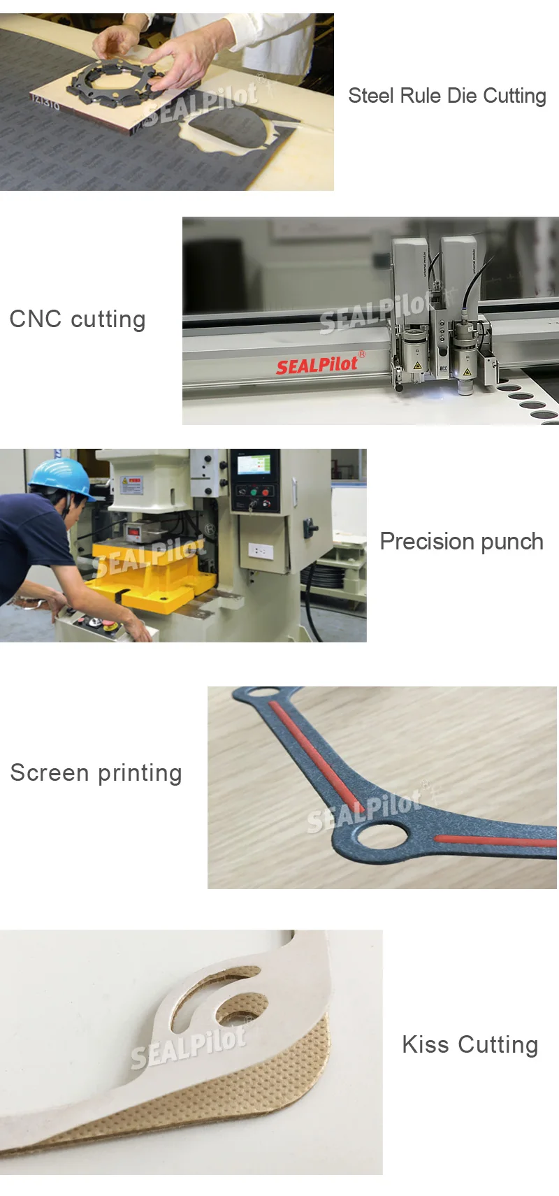 Graphite Insert Gaskets for Automotive Engine Applications