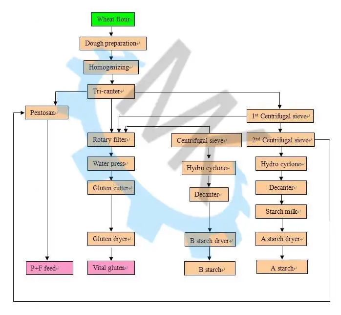 Mkwsl-131 Wheat Vital Gluten/starch Production Line - Buy Wheat Vital ...