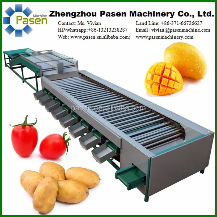 Roller Type Fruit Size Sorting Machine,Cherry Tomato Sorter,Mango ...