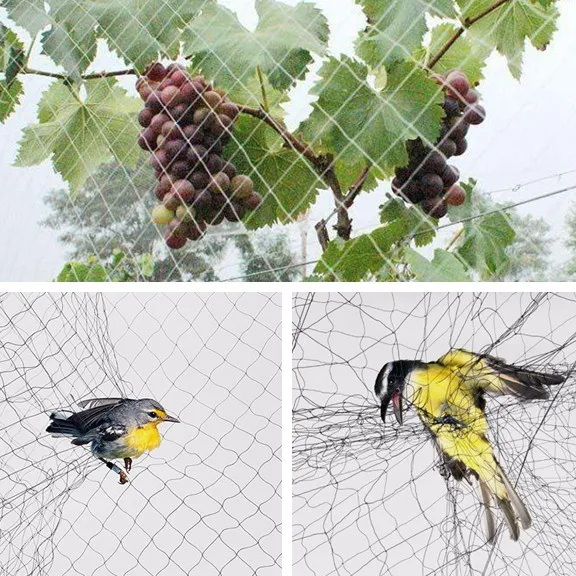 (factory Supply) Hdpe Anti Bird Netting For Catch Bird,Pe Woven Bird ...