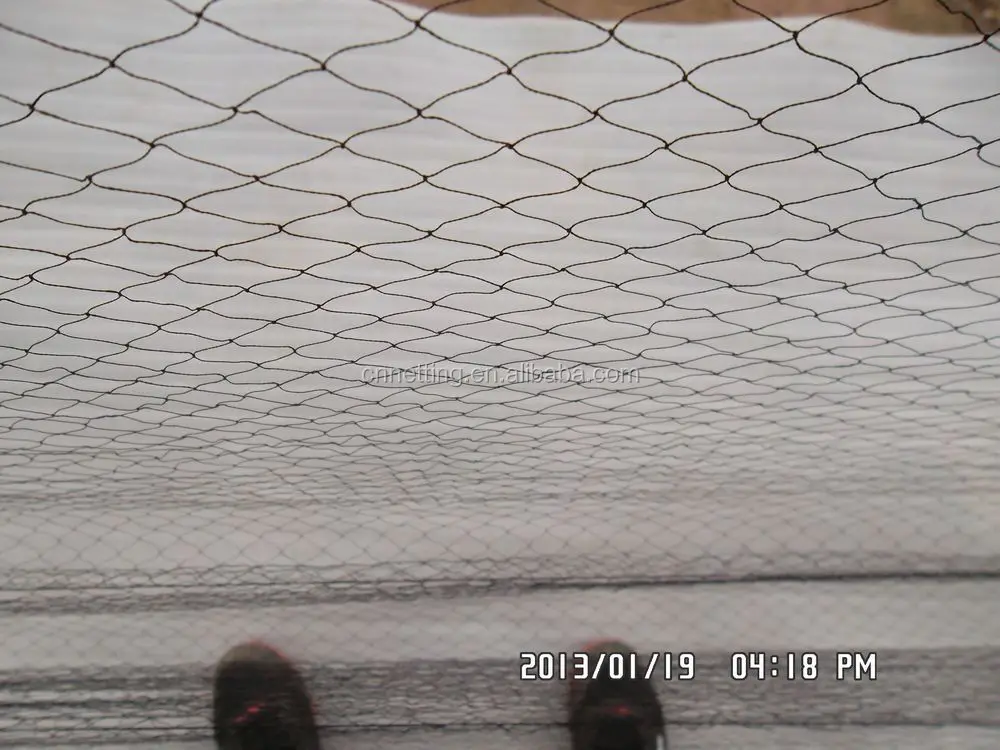 100% Nylon Bird Mist Net - Effective Bird Control Solutions