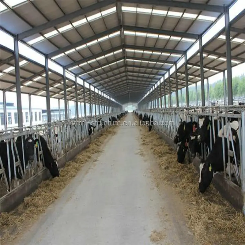 Pre Fabricarted Cow Shed For Agriculture - Buy Cow Shed,Cow Shed,Cow ...