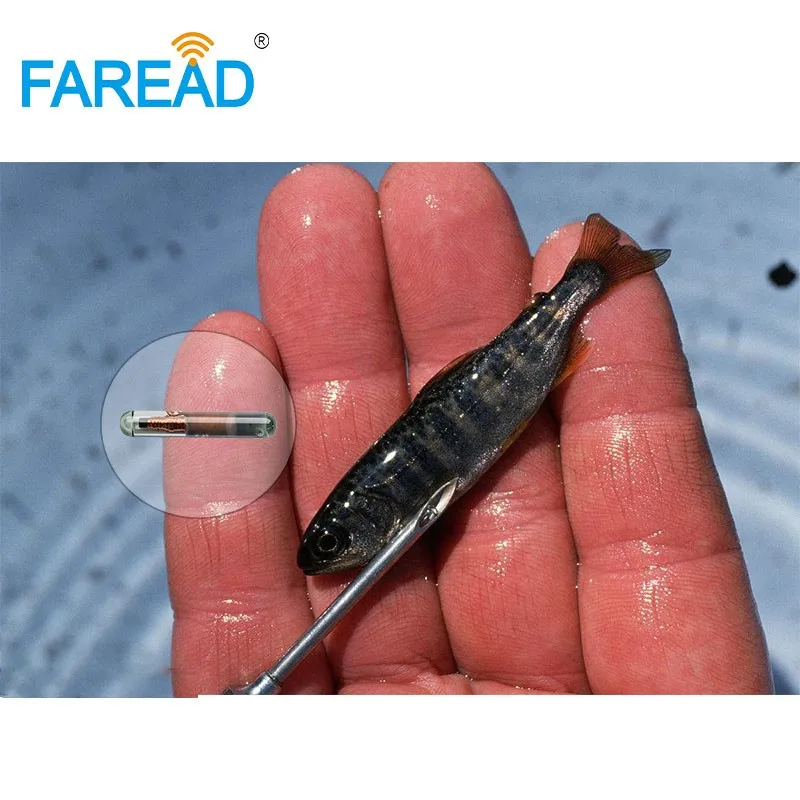 Pet Microchip 12mm, 8mm, 7mm Nano Chip Fish Red Arowana