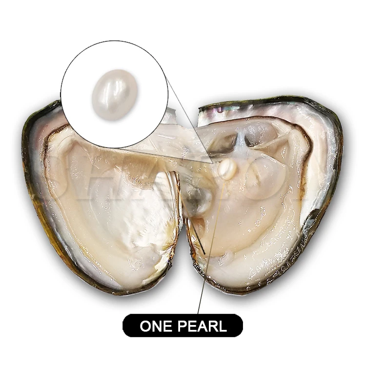 Party Surprise Gift 6-7mm Cultured Fresh Water Mussel Oval Pearls ...